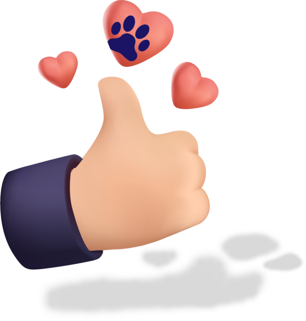 In-Home Pet Care Services | Buffalo & Lockport, NY | Love Your Dog